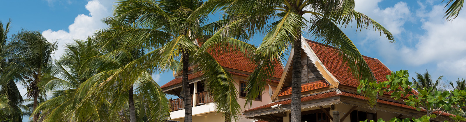 Hawaii Rodent Control | Sandwich Isle Pest Solutions